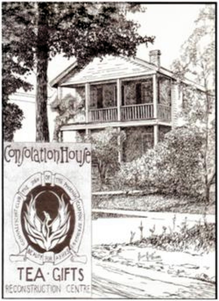 The Architect and His Cures - How an eccentric convalescent launched a ...